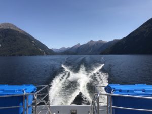Hiking New Zealand’s Dusky Track - New in New Zealand